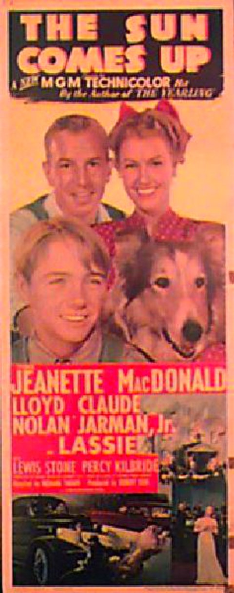 The Sun Comes Up Original 1948 U.S. Insert Movie Poster - Posteritati Movie Poster Gallery