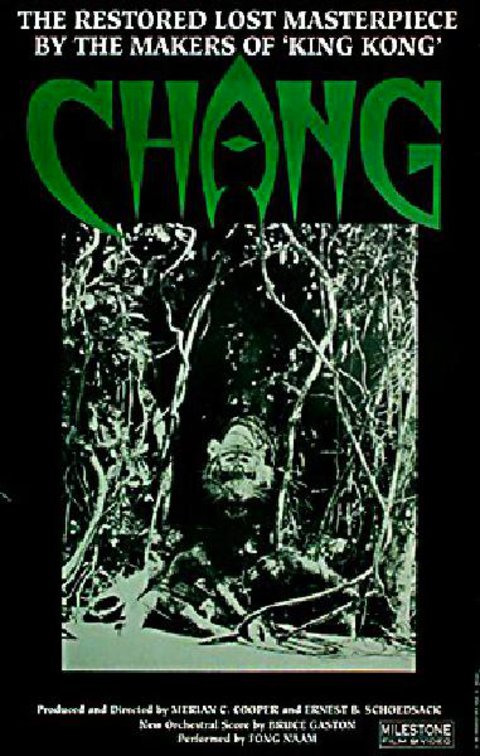 Chang: A Drama of the Wilderness Original R1991 U.S. Movie Poster ...