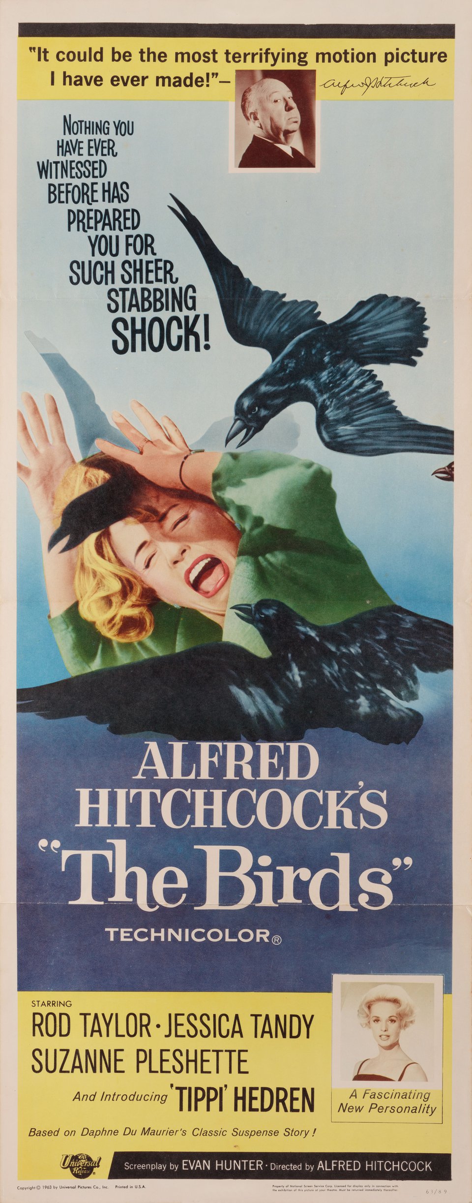 The Birds Original 1963 U.S. Insert Movie Poster - Posteritati Movie ...