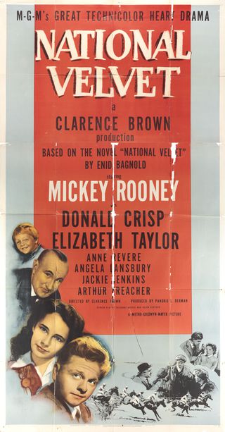 National Velvet Movie Poster Upcycled VHS National Velvet Movie