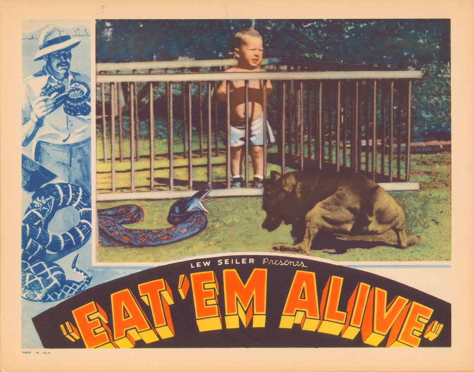 Eat 'Em Alive Original 1933 U.S. Scene Card - Posteritati Movie Poster Gallery
