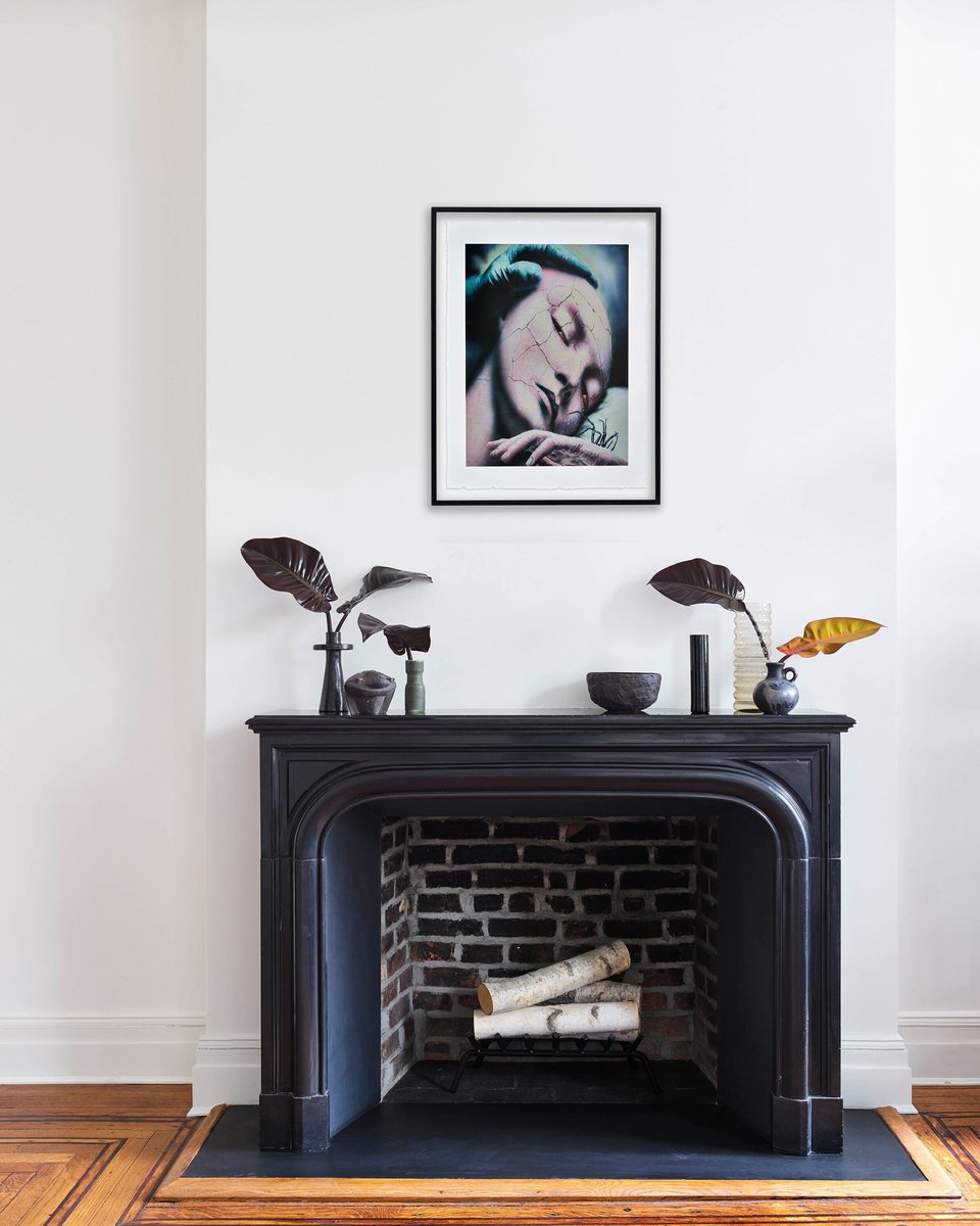 The Skin I Live In Original 2024 U.S. Print Signed by Tim Brawner ...