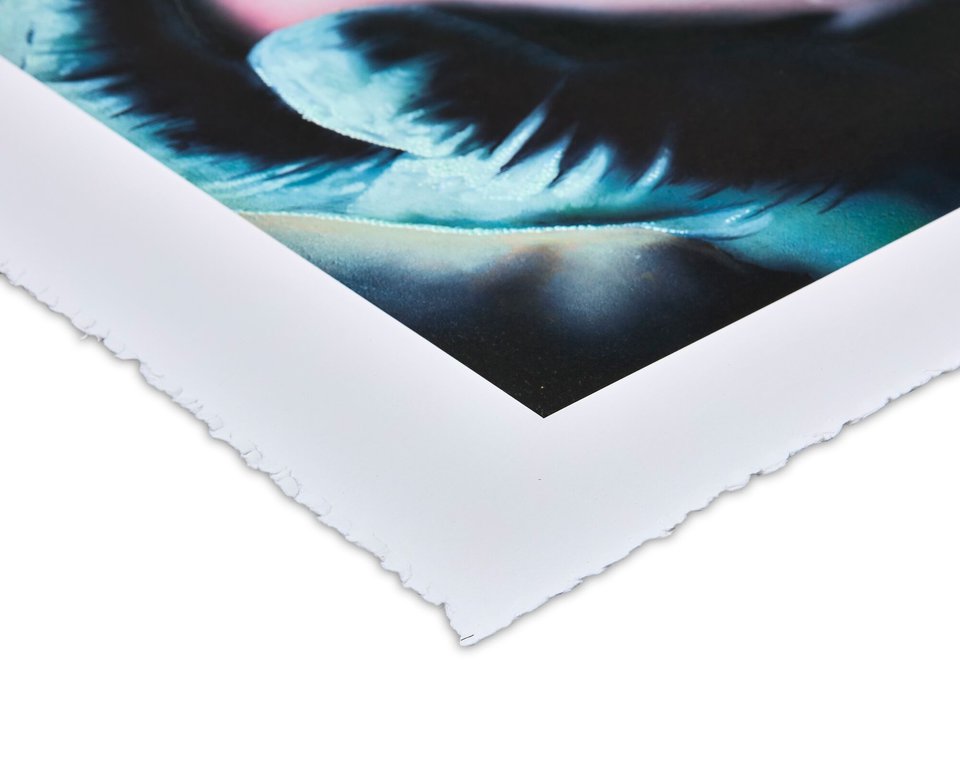 The Skin I Live In Original 2024 U.S. Print Signed by Tim Brawner ...