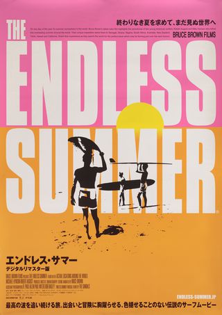 endless summer poster framed